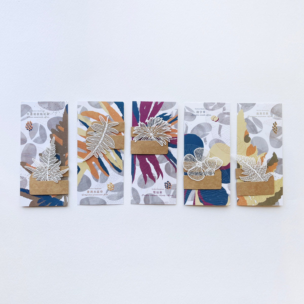 MANO PLUS | FERN ONLY: Fern Herbier Papercraft Series – Mano Plus ...